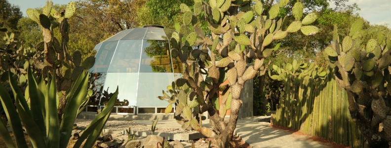 Turismo regenerativo ¿cómo se genera? - Raices México